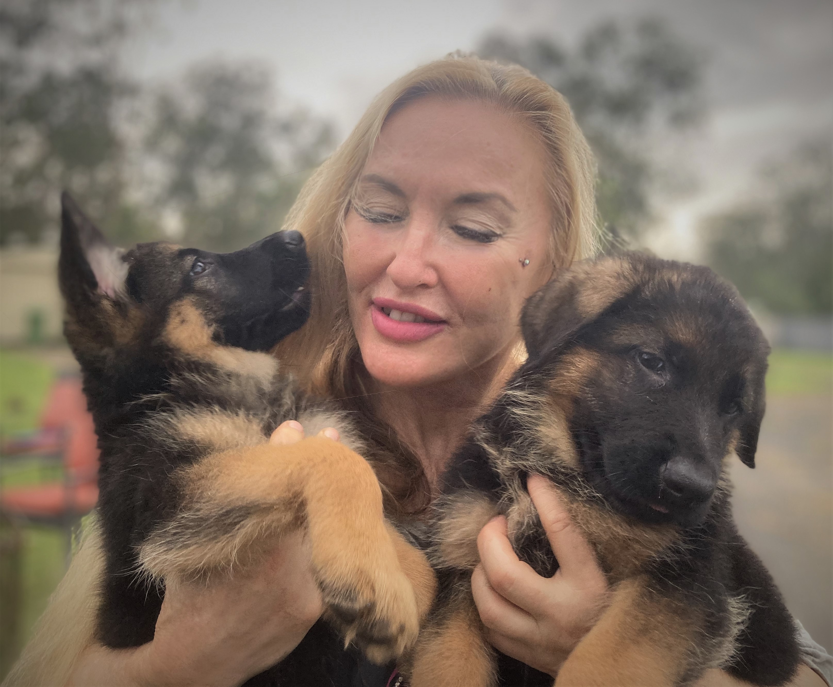 green collar n twin brother 3b (2) | Leishjaclyn German Shepherds